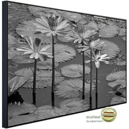 papermoon Infrarotheizung Seerosen, Teich, Blüten, Blätter Schwarz & Weiß, sehr angenehme Strahlungswärme, bunt