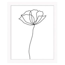 queence Bild Susanne, Blumen, Rose, gerahmt, schwarz|weiß