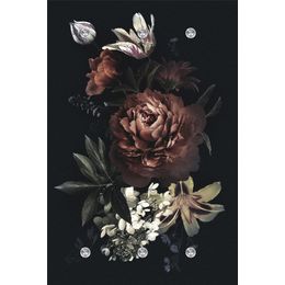 Garderobenleiste queence "Blumen" Garderobenhalter Gr. B/H/T: 80 cm x 120 cm x 5 cm, bunt Haken