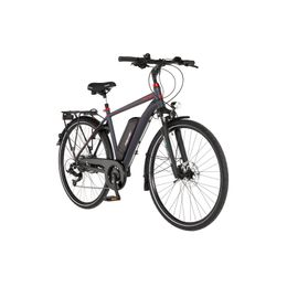 FISCHER BIKE FISCHER E-Bike Pedelec Trekking Viator 1.0 Herren, Rahmenhöhe 50 cm, 28 Zoll - versch. Varianten