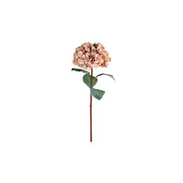 Chic Antique Fleur Kunstblume Hortensie mit Blatt, L80 cm, beige