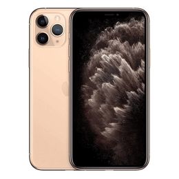 Apple iPhone 11 Pro Max 64GB Gold Sehr gut