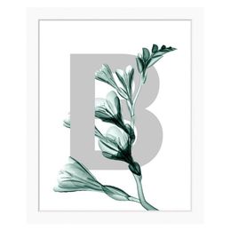 queence Bild B-Flower 2.0, Buchstaben, Blume, Blätter, gerahmt, grau|grün