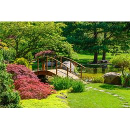 papermoon Fototapete "Japanischer Garten" Tapeten Gr. B/L: 5 m x 2,8 m, Bahnen: 10 St., bunt (mehrfarbig) Fototapeten