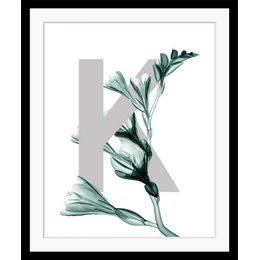 queence Bild K-Flower, Buchstaben, Blume, gerahmt, Blätter, grau|grün