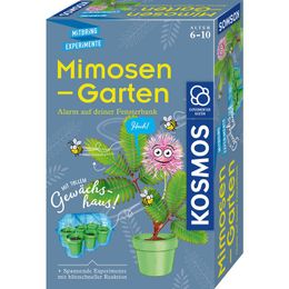 Kosmos Mitbring-Experimente: Mimosen-Garten