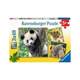 RAVENSBURGER VERLAG Puzzle PANDA, TIGER & LÖWE 3x49-teilig