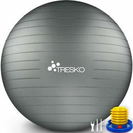 TRESKO - Gymnastikball (Grau 75cm) mit Pumpe Fitnessball Yogaball Sitzball Sportball Pilates Ball Sportball