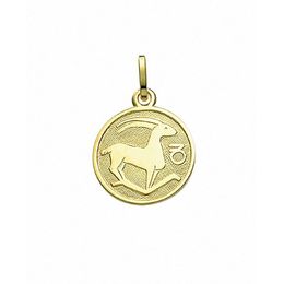 Adelia´s Adelia´s Kette mit Anhänger 333 Gold Sternzeichen Anhänger Steinbock Ø 11,8 mm, Schmuckset - Set mit Halskette, goldfarben