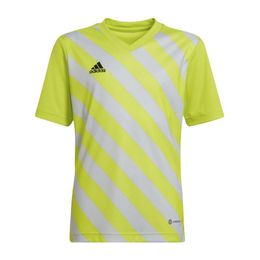 adidas Performance Fußballtrikot Entrada 22 GFX Trikot Kids