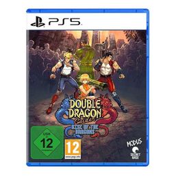 ASTRAGON Double Dragon Gaiden: Rise of the Dragons PlayStation 5