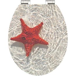 Schütte Schütte - wc Sitz red starfish High Gloss mit mdf Holzkern, hochglänzender Toilettendeckel mit Absenkautomatik Motiv, Klobrille - Motiv