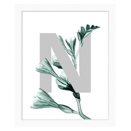 queence Bild N-Flower, Buchstaben, Blätter, Blume, gerahmt, grau|grün