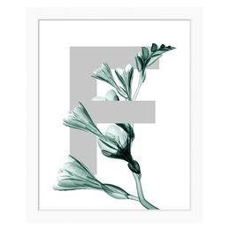 queence Bild F-Flower, Buchstaben, gerahmt, Blume, Blätter, grau|grün