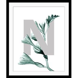 queence Bild N-Flower, Buchstaben, Blätter, Blume, gerahmt, grau|grün