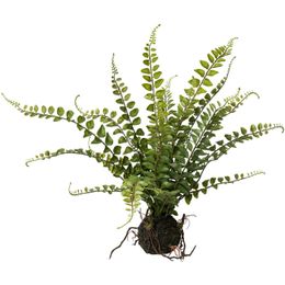 Künstliche Zimmerpflanze Farn im Ballen Farn, Creativ green, Höhe 43 cm, grün