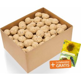 Dobar 100x Meisenknödel ohne Netz, Fettfutter für Wildvögel, 9000g Vogelfutter