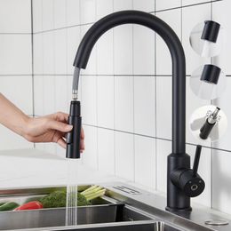 CECIPA - Schwarz Küchenarmatur-Ausziehhahn mit 2 Funktionen, um 360° drehbarer Küchenspülenmischer aus Edelstahl, Spülenmischer für heißes und kaltes