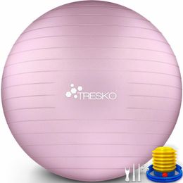 TRESKO - Gymnastikball mit Pumpe Fitnessball Yogaball Sitzball Sportball Pilates Ball Sportball Princess-Pink 65cm (geeignet für 155 - 175cm)