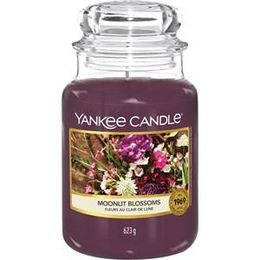 yankee candle Raumdüfte Duftkerzen Moonlit Blossoms Classic Medium Glass