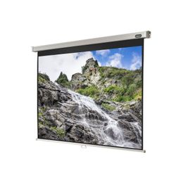 Celexon Professional Rolloleinwand (290 x 218cm