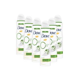 Dove Deo-Set Deodorant Spray Gurkenduft Deo mit pflegendem Zink-Komplex 6x 150ml