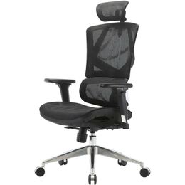 HHG Neuwertig] sihoo Bürostuhl Schreibtischstuhl ergonomisch, Lordosenstütze hohe Rückenlehne 3D-Armlehnen Mesh schwarz - black