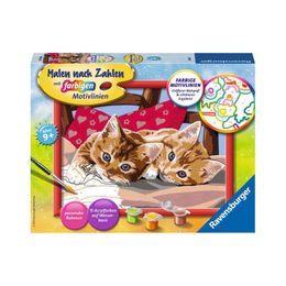 RAVENSBURGER VERLAG Mal-Set MALEN NACH ZAHLEN SERIE D – ZWEI SCHMUSEKÄTZCHEN 18-teilig