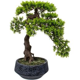 Kunstbonsai Louvenne Bonsai Zeder Han-Kengai, Home Affaire, Höhe 52 cm, Kunstpflanze, im Topf, grün