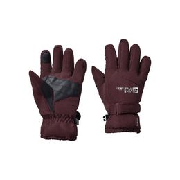 Jack Wolfskin Skihandschuhe 2L WINTER GLOVE K, lila