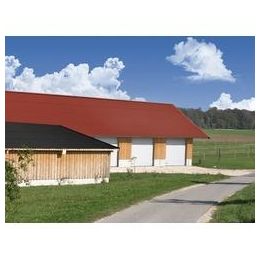 Gutta Wellplatte Shelltec Sinus 95/34 200 x 95 cm 4 mm rot