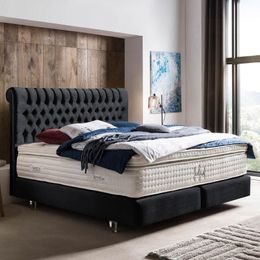 BettCo Boxspringbett Chester (in Schwarz Samt, 200 x 200 cm), Acryl-Füße, Kostenloser Aufbau, Ohne Topper, Schwarz