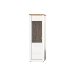 Newroom Vitrine Michalina Vitrine weiß NB weiß matt MDF TZ Modern Standvitrine Vitrinenschr...