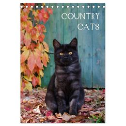 Calvendo Wandkalender COUNTRY CATS (Tischkalender 2024 DIN A5 hoch)