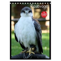 Calvendo Wandkalender Raubvögel (Tischkalender 2024 DIN A5 hoch)