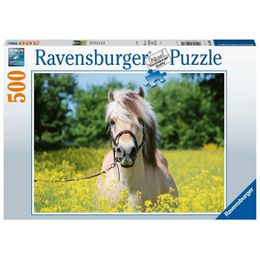 Ravensburger Spiel, Pferd im Rapsfeld