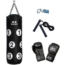 HAMMER Boxsack Sparring Professional (Set, mit Boxhandschuhen, mit Haken, mit Sprungseil, mit Trainings-DVD), schwarz