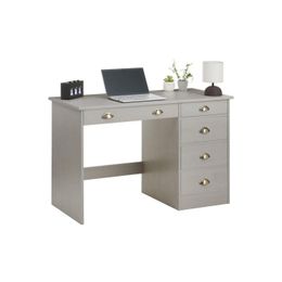 Idimex Schreibtisch LANA, Schreibtisch Computertisch 5 Schubladen PC Tisch Kiefer Muschelgriffen