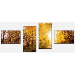wandmotiv24 Mehrteilige Bilder Herbstlandschaft in warmen Farben