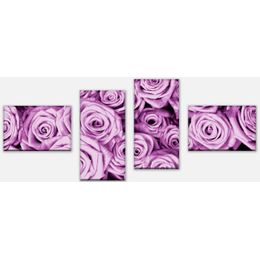 wandmotiv24 Mehrteilige Bilder violettes Rosenfeld Blüte