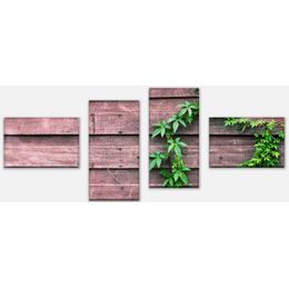wandmotiv24 Mehrteilige Bilder Wand mit Kletterpflanze