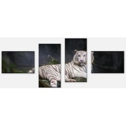 wandmotiv24 Mehrteilige Bilder Weißer Tiger sitzt in der Höhle