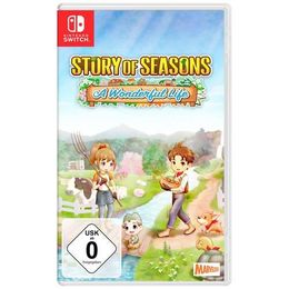 WILD RIVER Story of Seasons: A Wonderful Life Nintendo Switch USK: 0
