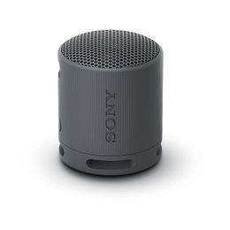 Sony SRS-XB100 Bluetooth Lautsprecher, Schwarz, Wasserfest