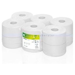 Wepa 317580 Centerfeed Recycling hochweiß Toilettenpapier 12 Rollen/Paket a 180 m, 2-lagig, Blattgröße 10,8 x 25 cm