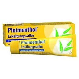 Pinimenthol Erkältungssalbe Eucal./Kiefern./Menth. 50 g