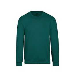 TRIGEMA Sweatshirt »Sweatshirt« efeu L L Sweat-Qualität