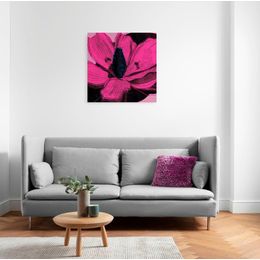 Komar Leinwandbild Pink Fusion, (1 St), 60x60 cm (Breite x Höhe), Keilrahmenbild, rosa|schwarz