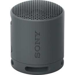 Sony SRS-XB100 Stereo Bluetooth-Lautsprecher (Bluetooth, Kabellos, wasser- und staubdicht, 16-Std.-Akku, umweltfreundlich), schwarz