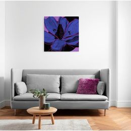 Komar Leinwandbild Purple Fusion, (1 St), 60x60 cm (Breite x Höhe), Keilrahmenbild, lila|rot|schwarz